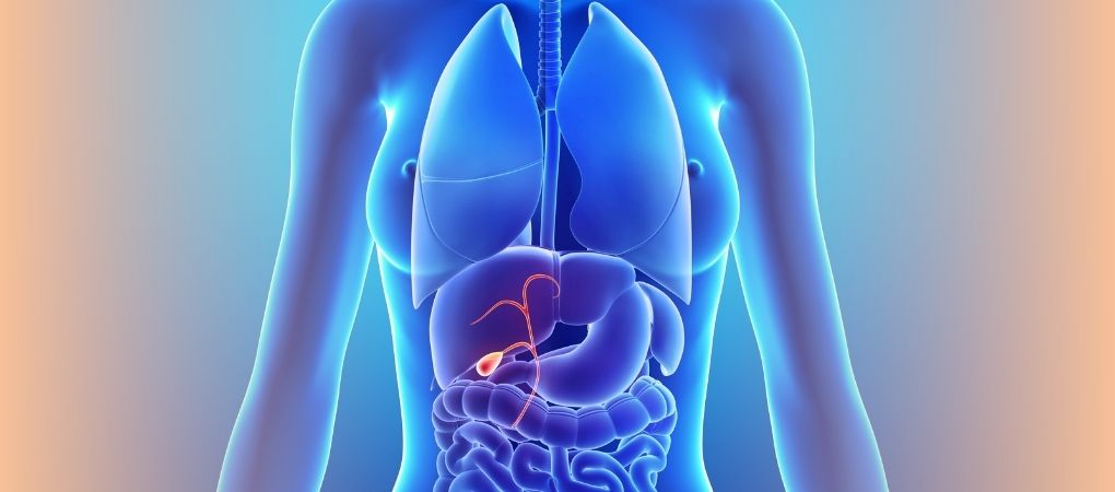 Biliary Dyskinesia - Osteopedia - il portale mondiale dell'osteopatia