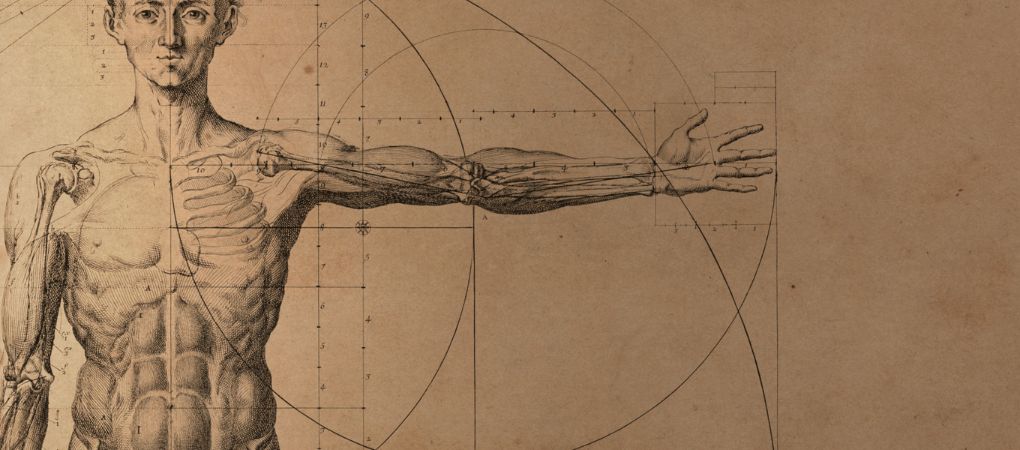 Osteopathy is always anatomy - Osteopedia - il portale mondiale dell ...